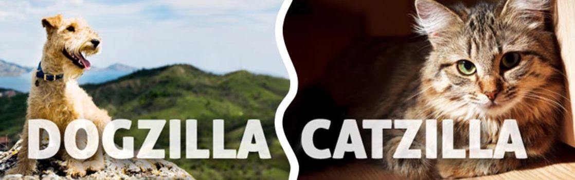 Dogzilla y Catzilla: una dieta natural y equilibrada |Kiwoko