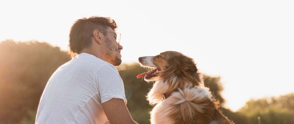 Feliz Día del Padre Perruno: Actividades y regalos perfectos
