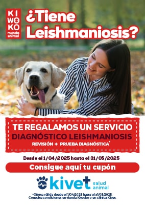 Información sobre el Husky siberiano | Blog Kiwoko