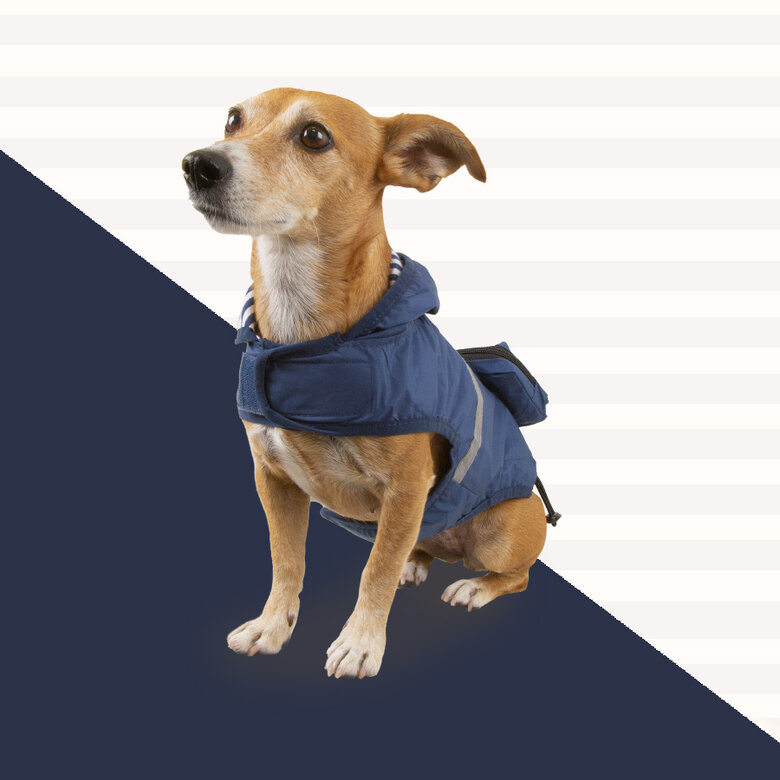 Outech Impermeable con Bolsillo Azul Marino para perros | Kiwoko