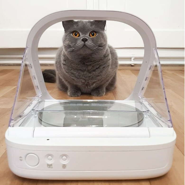 Sure Petcare Surefeed Comedero Automático con Microchip | Kiwoko