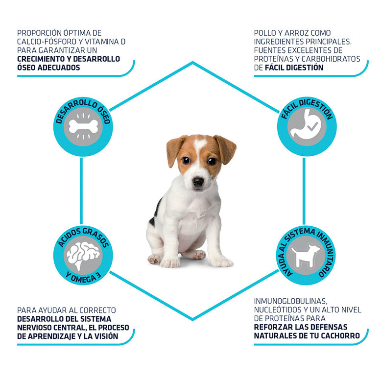 Advance Active Defense Mini Puppy pienso para cachorros | Kiwoko