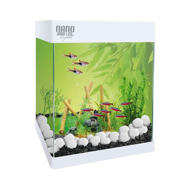 Acuarios, peceras y accesorios para tu acuario | Kiwoko