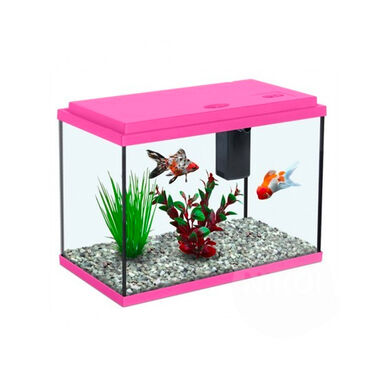 Acuarios y peceras pequeñas | Kiwoko