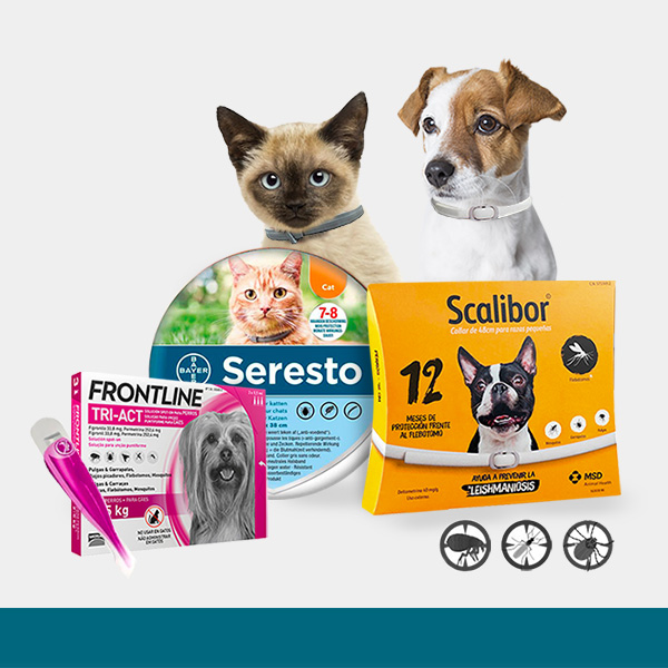 Antiparasitarios para perros, ¡al mejor precio! | Kiwoko