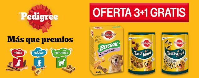 Los mejores snacks, huesos y galletas para perros | Kiwoko