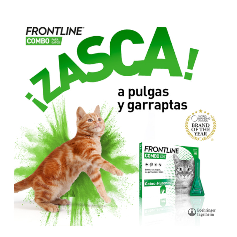 Frontline Combo Pipetas Antiparasitarias para gatos y hurones | Kiwoko